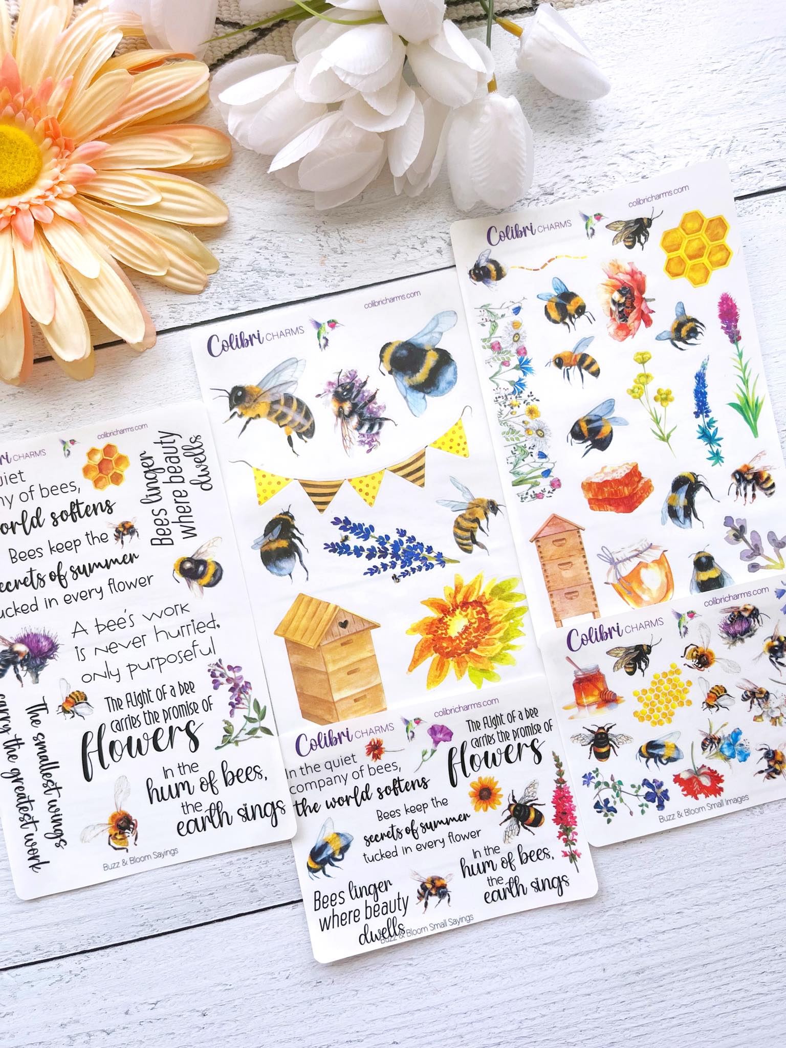Buzz & Bloom – ColibriCharms